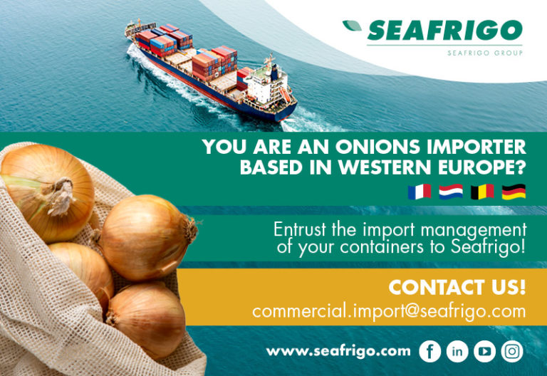 Importing onions in Western Europe with Seafrigo! - Seafrigo Group ...